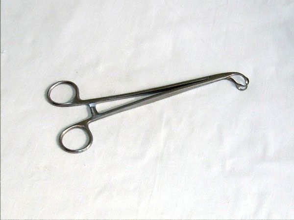 Pinza per Champs Moynihan, 19 cm, 2 x 2 artigli - Holtex a 39,97
