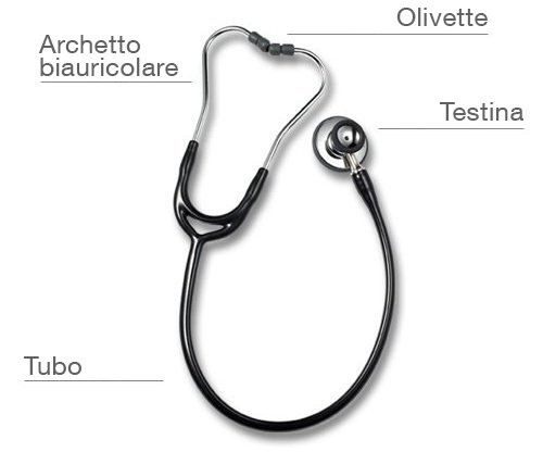 Stetoscopio: Descrizione delle componenti e delle modalità d'uso